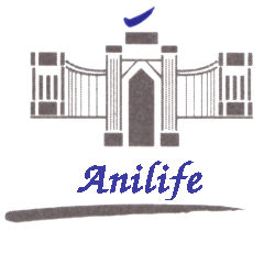 Assurance et mutuelle pour chiens : Liste complète des professionnels